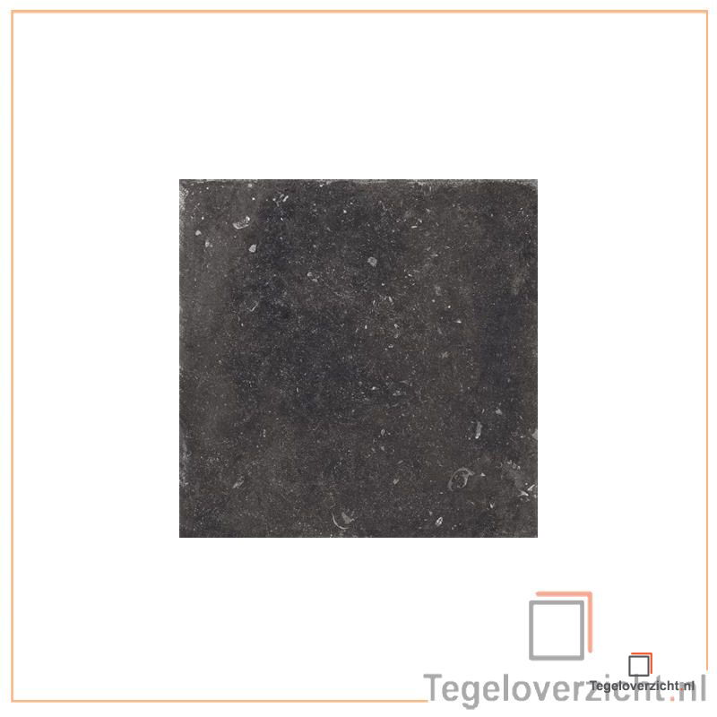 Kronos Evolution Du Kronos 100x100cm Antraciet Vloertegel (Evo No