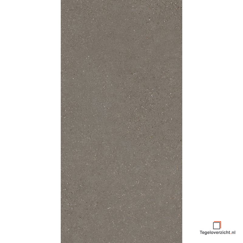 Cedit Compatta Ghiaia 60x120 9mm Natuursteen Tegels kopen