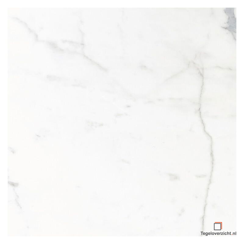 Ariostea Ultra Marmi 75x75cm Wit glans UM6L75441